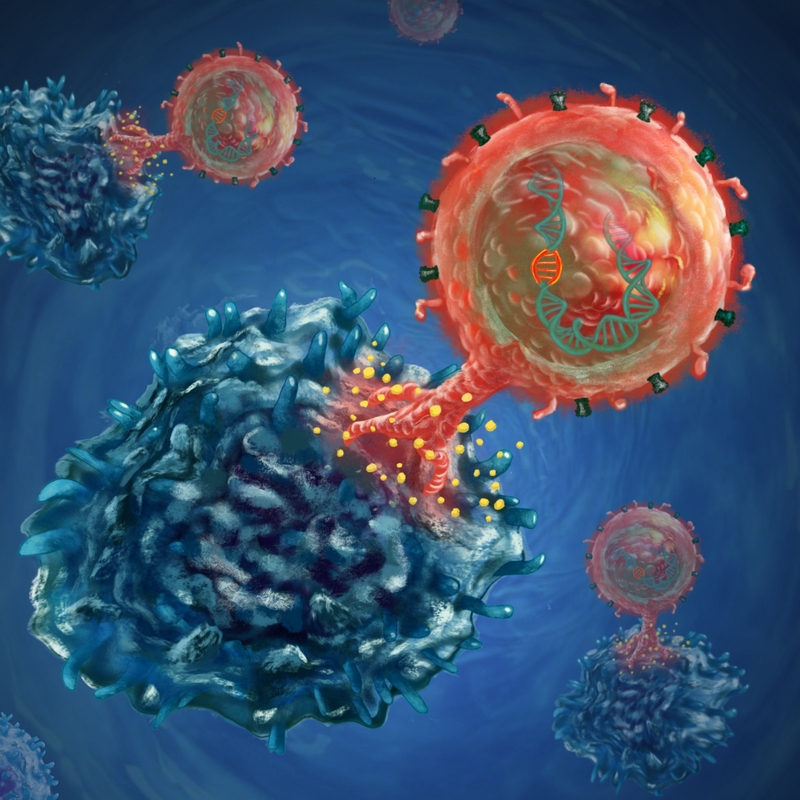 新一代CAR-T技术治疗肿瘤获完全缓解，中国科学家免疫疗法登上顶刊_生命科学_澎湃新闻-The Paper
