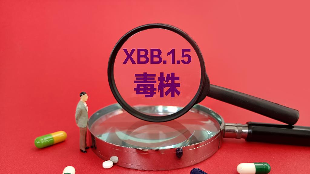 XBB和XBB.1.5到底是什么？在国外传播情况怎么样？_生命科学_澎湃新闻-The Paper
