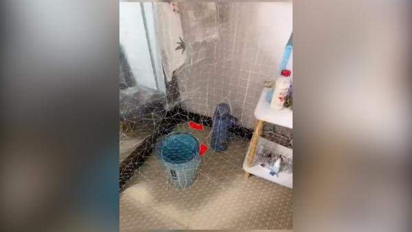 女子搬家前用3D扫描保存房间_关键帧_澎湃新闻-The Paper